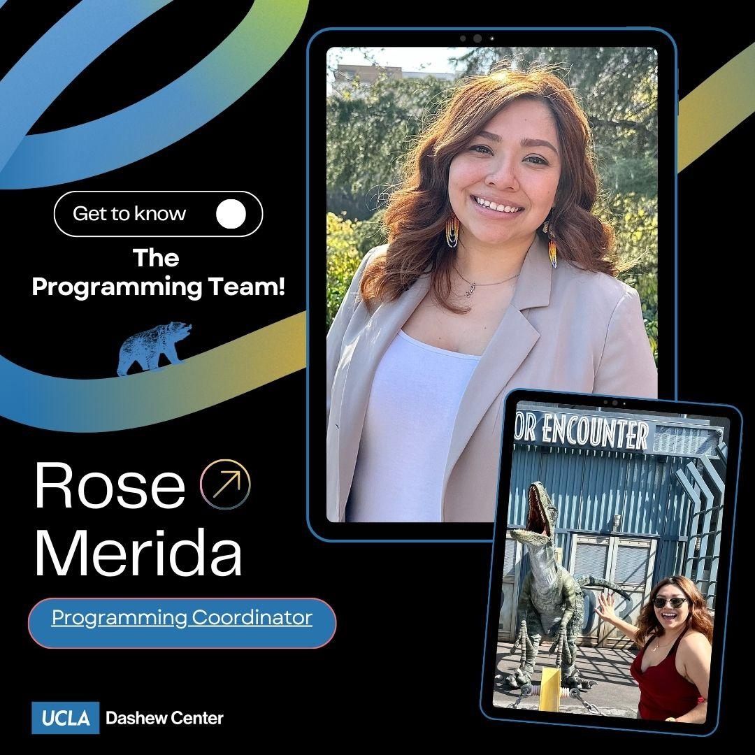 Programming Team | Dashew Center