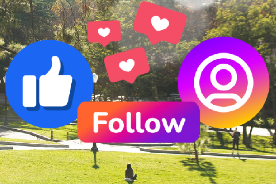 Welcome to the Dashew Center | Dashew Center